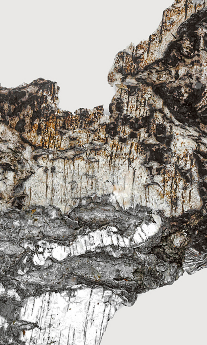 MATIERE PREMIERE | Falcon Leather Extrait de Parfum 100ml – SAINTE The ...